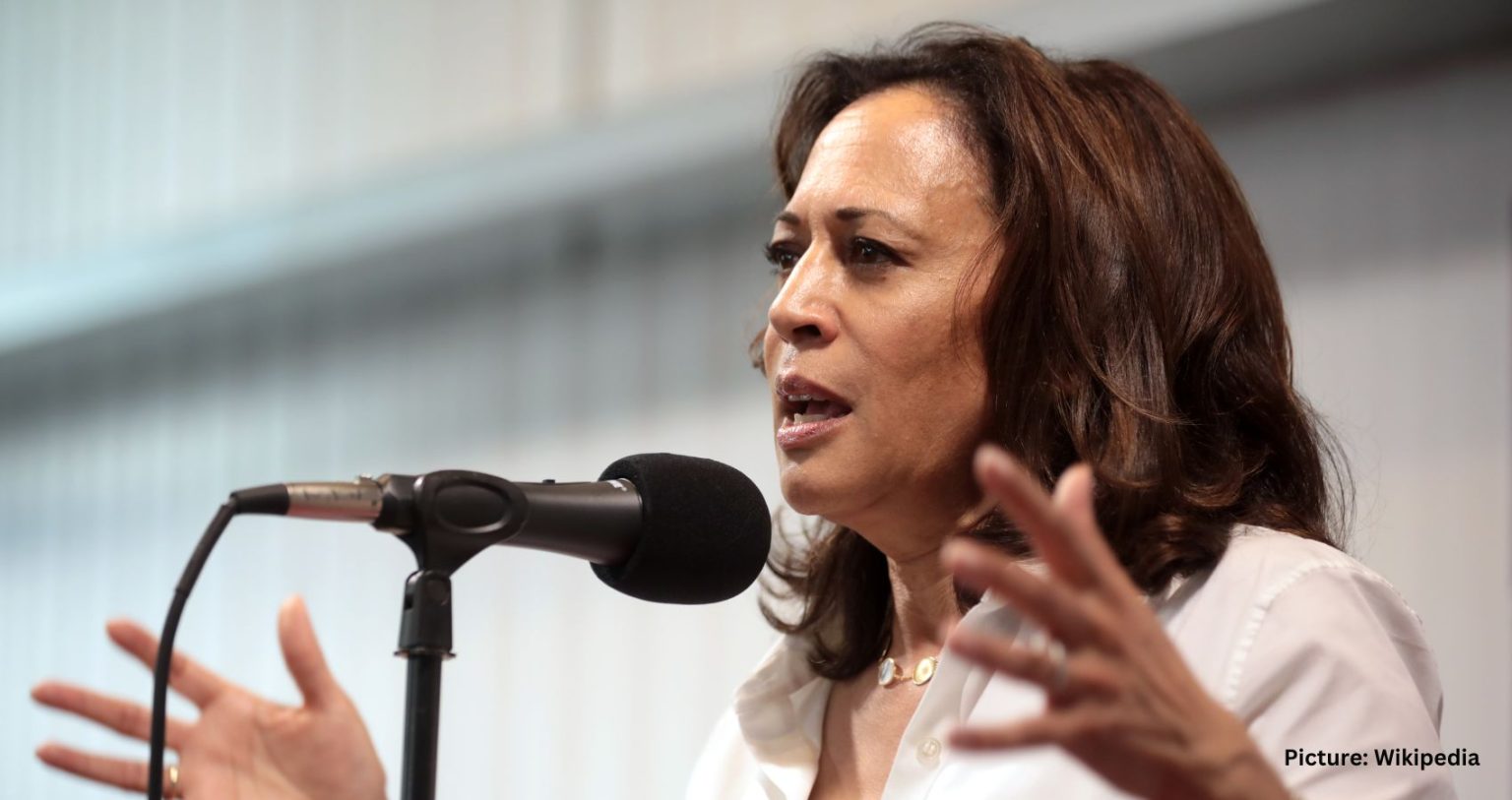 Kamala Harris Criticizes Trump Administration's Actions Against ...