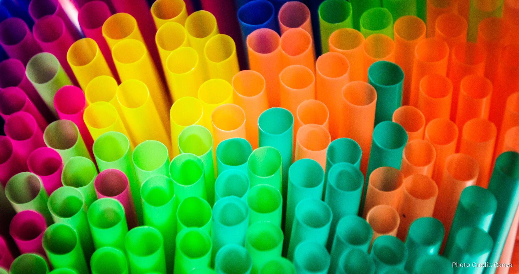 Trump Declares End to Biden’s ‘Plastic Straw Mandate,’ Plans Executive ...