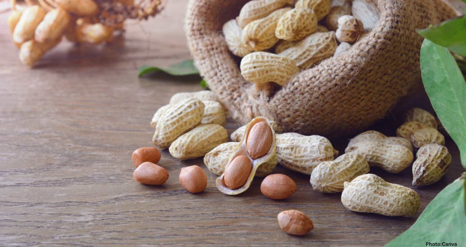Early Peanut Exposure Linked to Decrease in Food Allergy Diagnoses