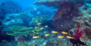 Scientists Forecast Underwater Volcano Eruption Off Oregon Coast