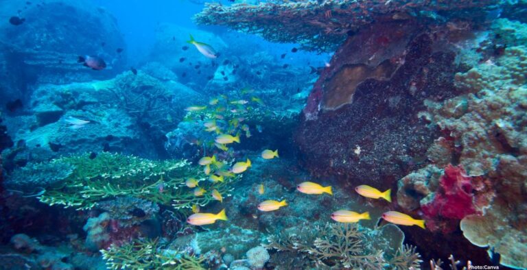 Scientists Forecast Underwater Volcano Eruption Off Oregon Coast